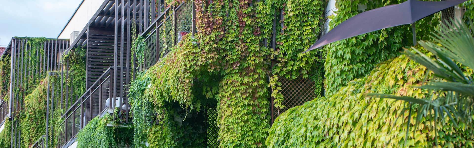 When Green is Not Really Green: The legal implications | Environmental law